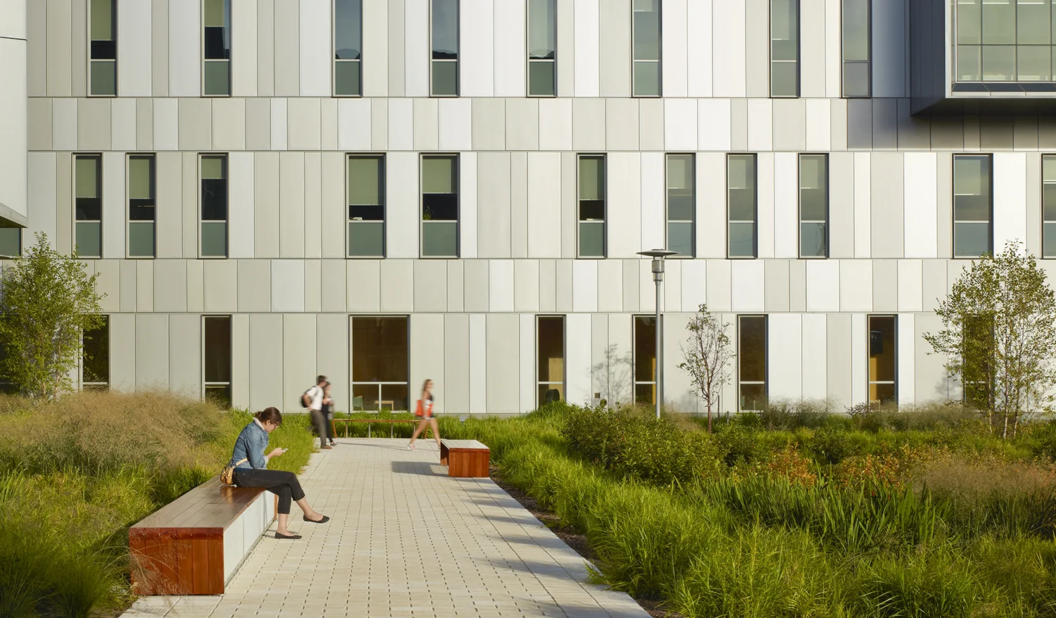 Campus — Jonathan Ceci Landscape Architects