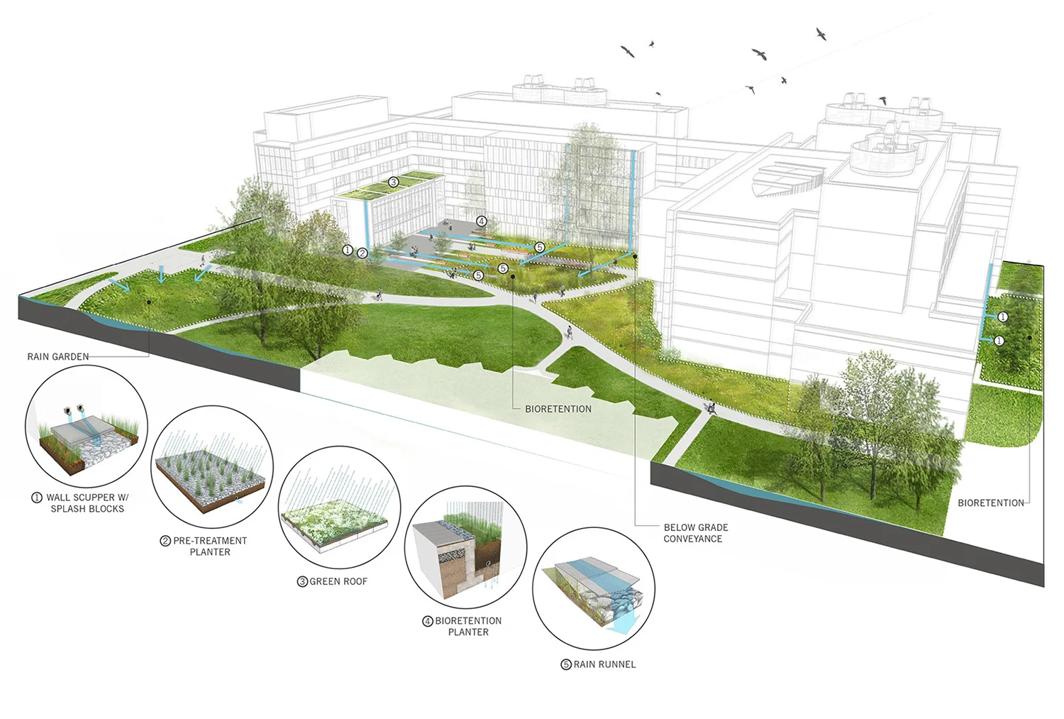 Campus — Jonathan Ceci Landscape Architects