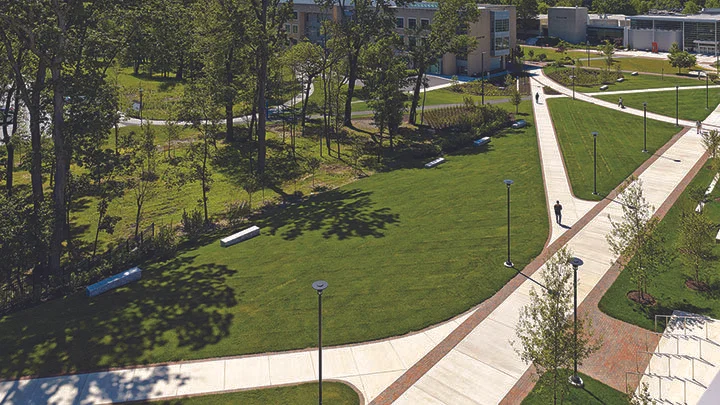 Campus — Jonathan Ceci Landscape Architects