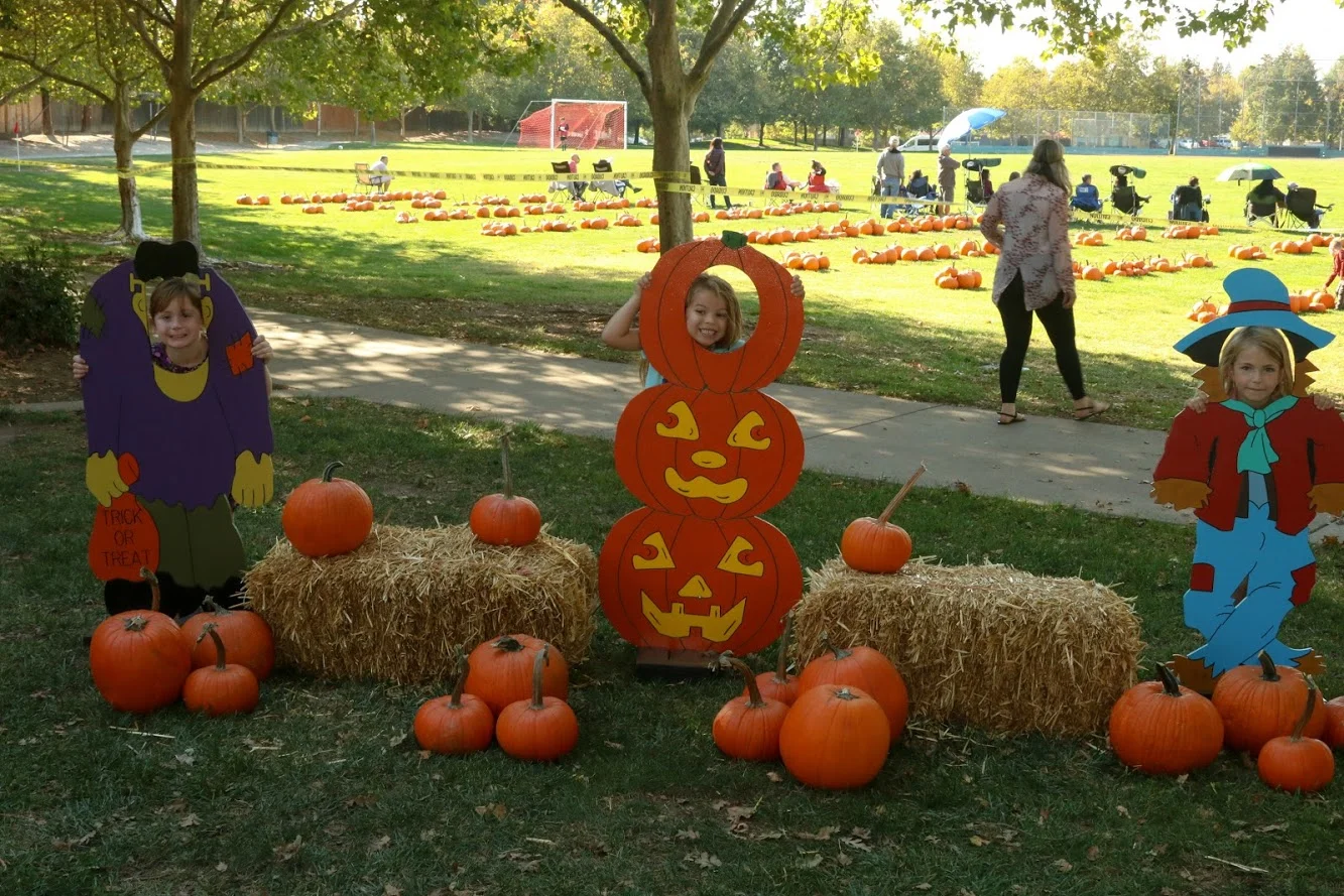 "Patch in the Park" Huge Success for RE/MAX Gold's The Goolsby Group ...