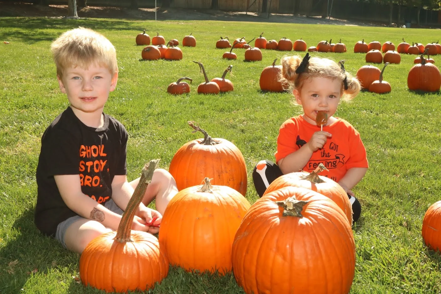 "Patch in the Park" Huge Success for RE/MAX Gold's The Goolsby Group ...