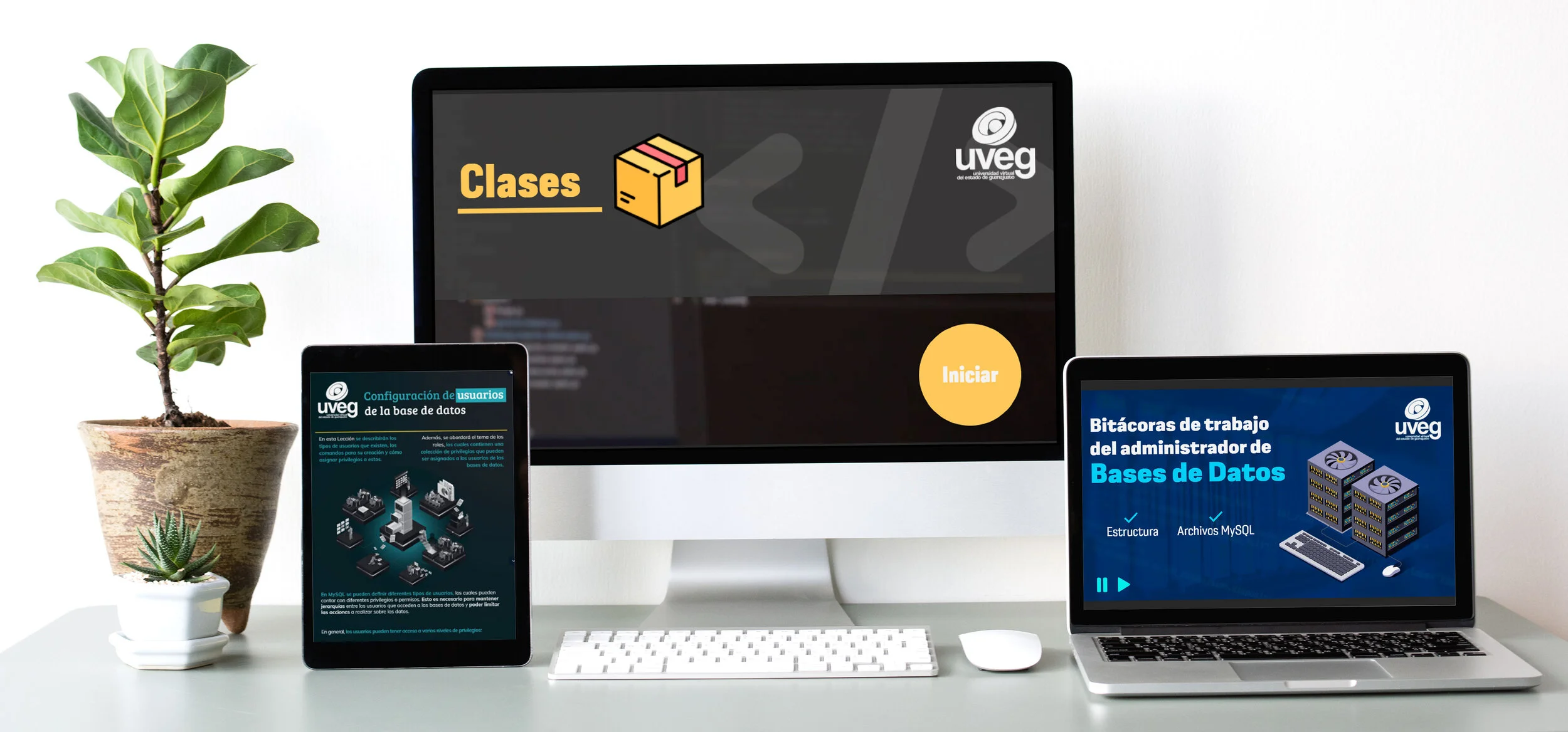 UVEG Producción de cursos virtuales — VisorLab