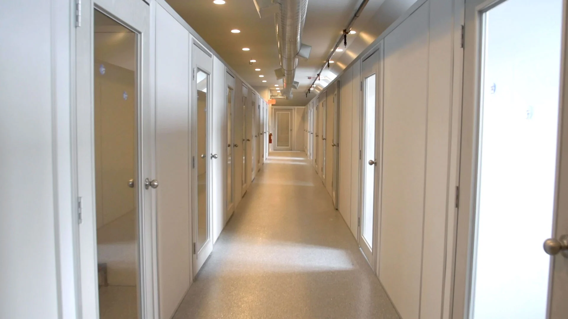 Our Facility — Dog Dayze