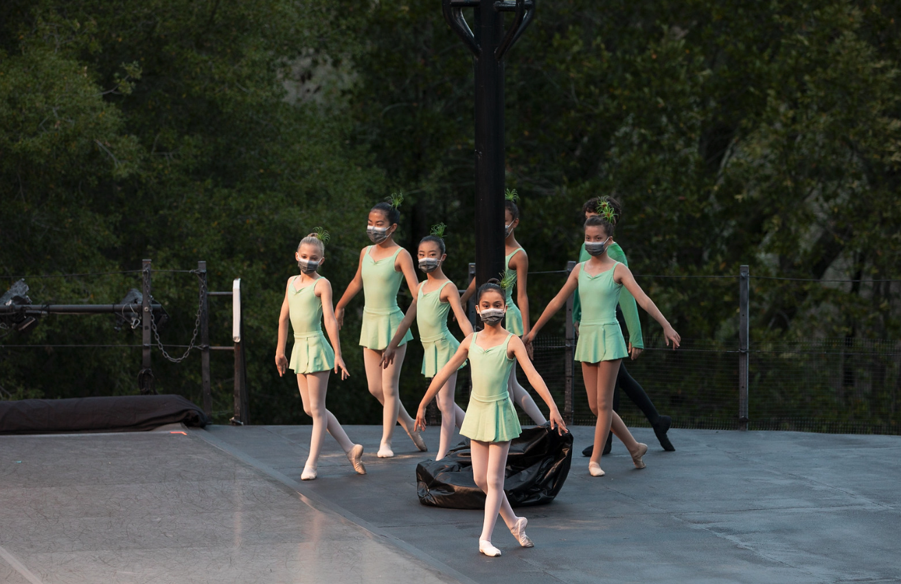 Youth Division Casting — Berkeley Ballet Theater