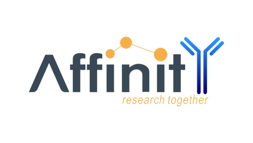 SingLab Technologies