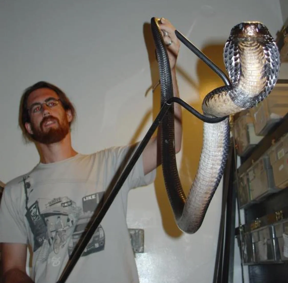 Mission — The Asclepius Snakebite Foundation