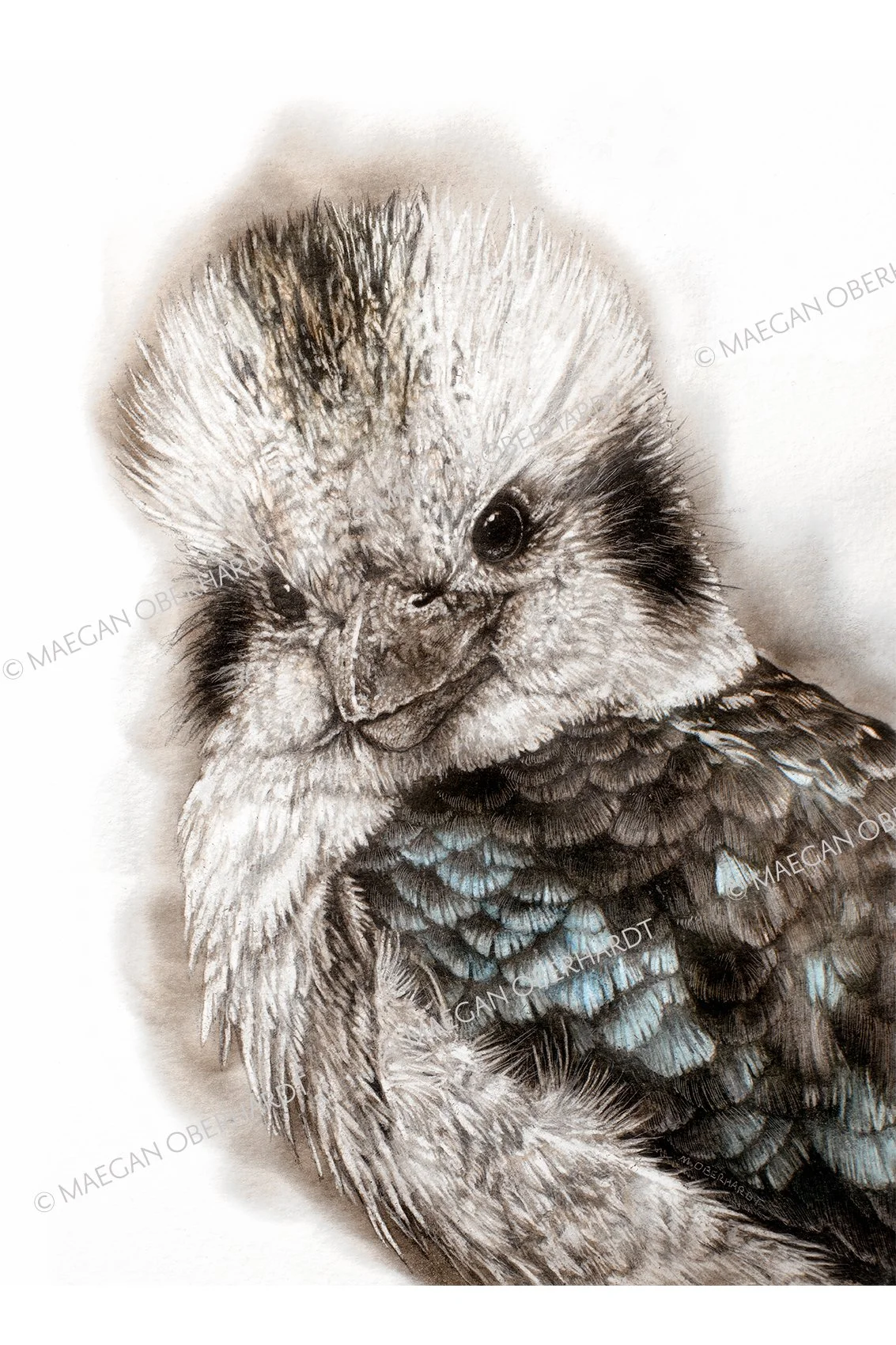 King's Portrait — Maegan Oberhardt