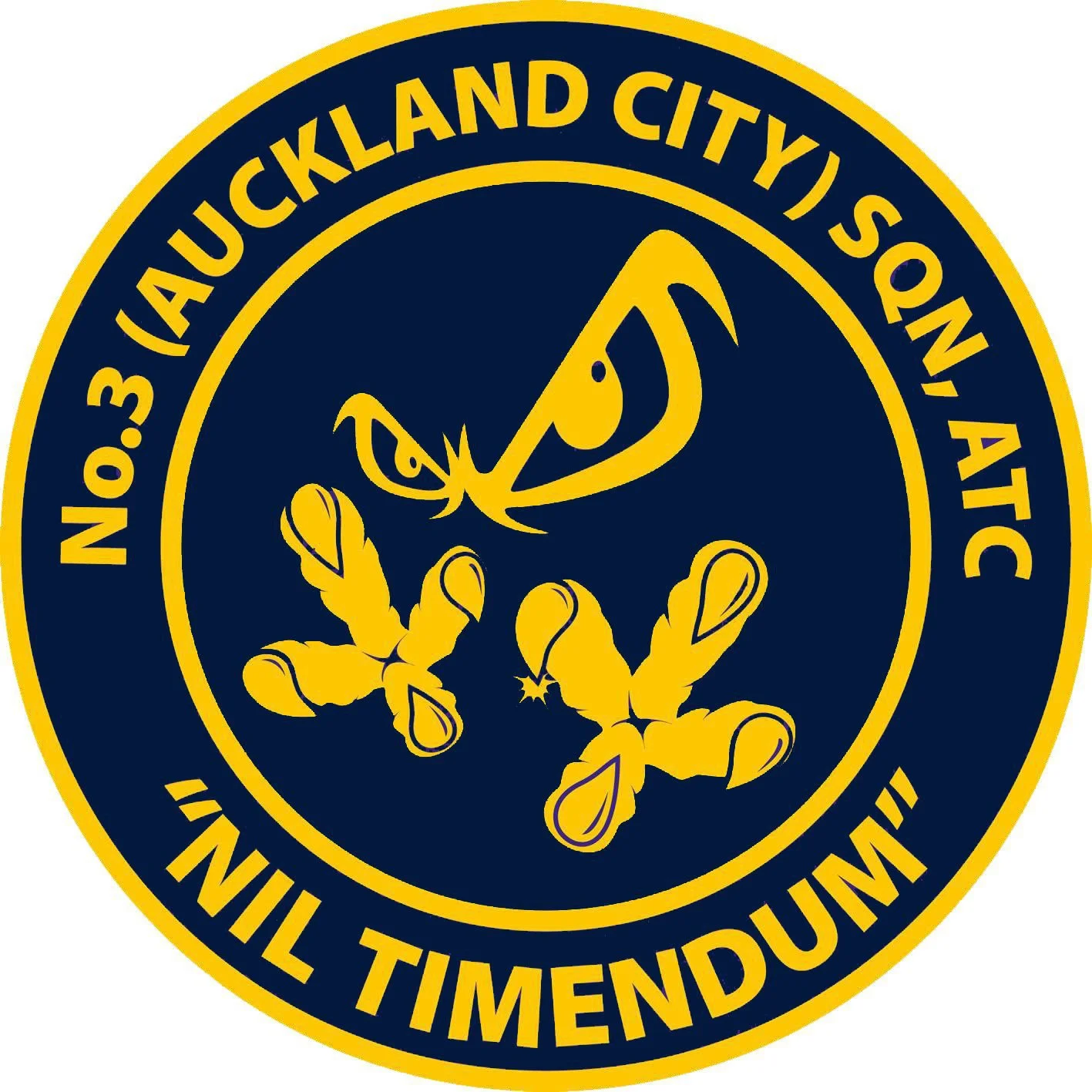 Auckland Cadet Force — No. 19 (Auckland) Squadron Air Training Corps