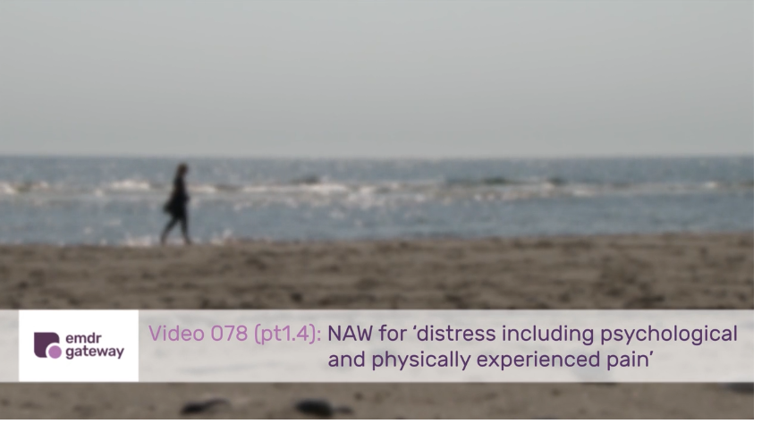 Video 078 (PT 1.4) NAW — EMDR Solutions