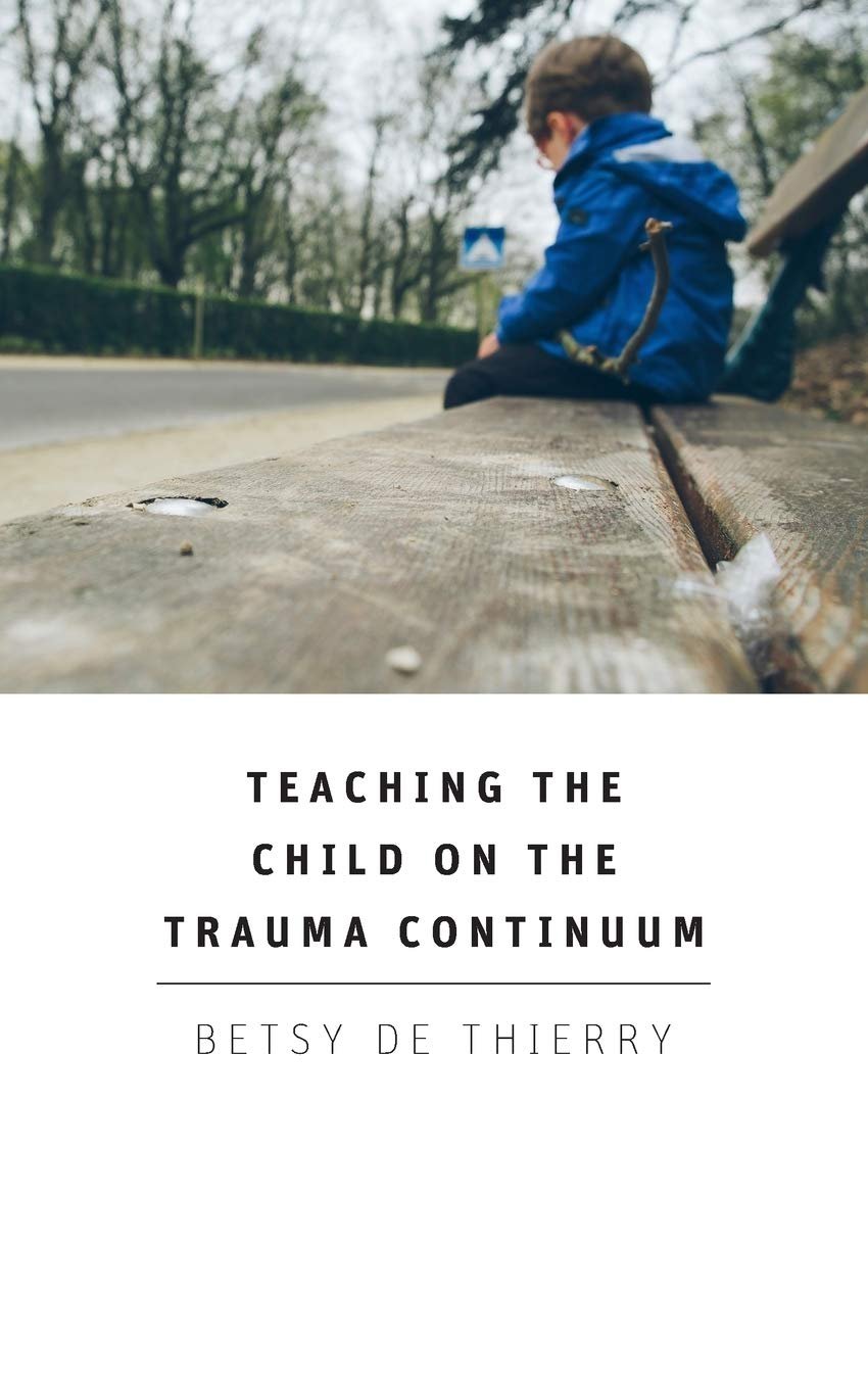 Christian professionals in trauma recovery — Trauma Informed Churches