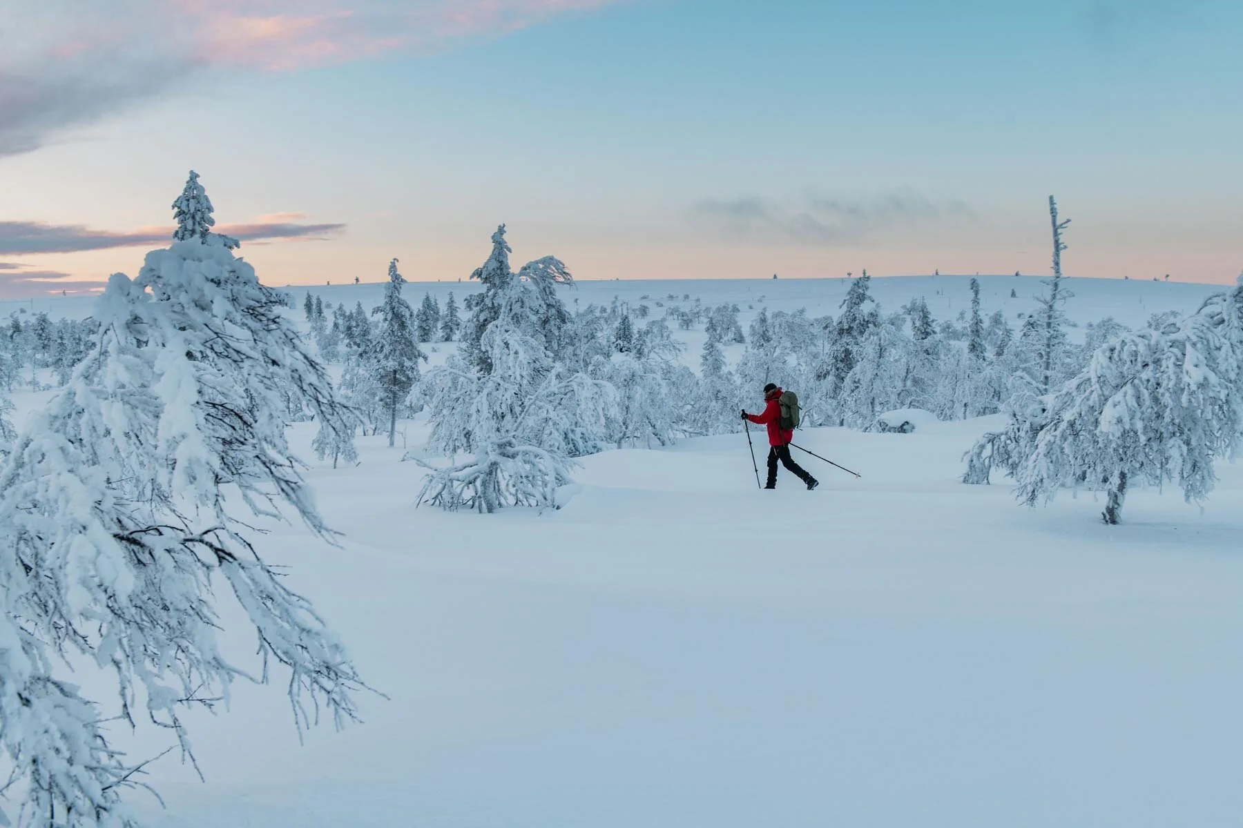 Lapland Winter Adventure | Sidetracked Adventures