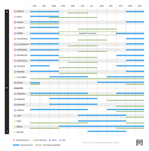 Coffee Harvest Seasons & Availability | Weathered Hands