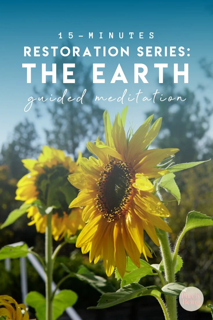 Restoration Series Meditation: The Earth — Purely Being Guided ...