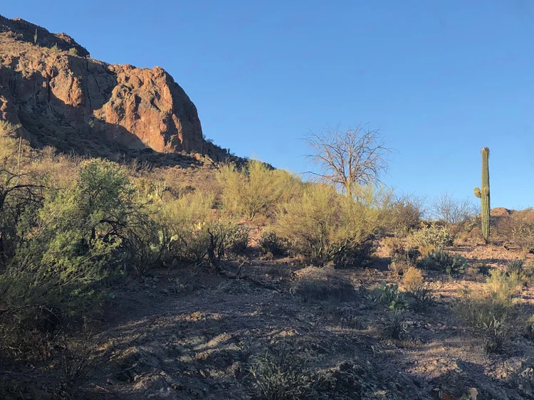 Ranch House Lodging — Copper Cactus Ranch Men's Retreat