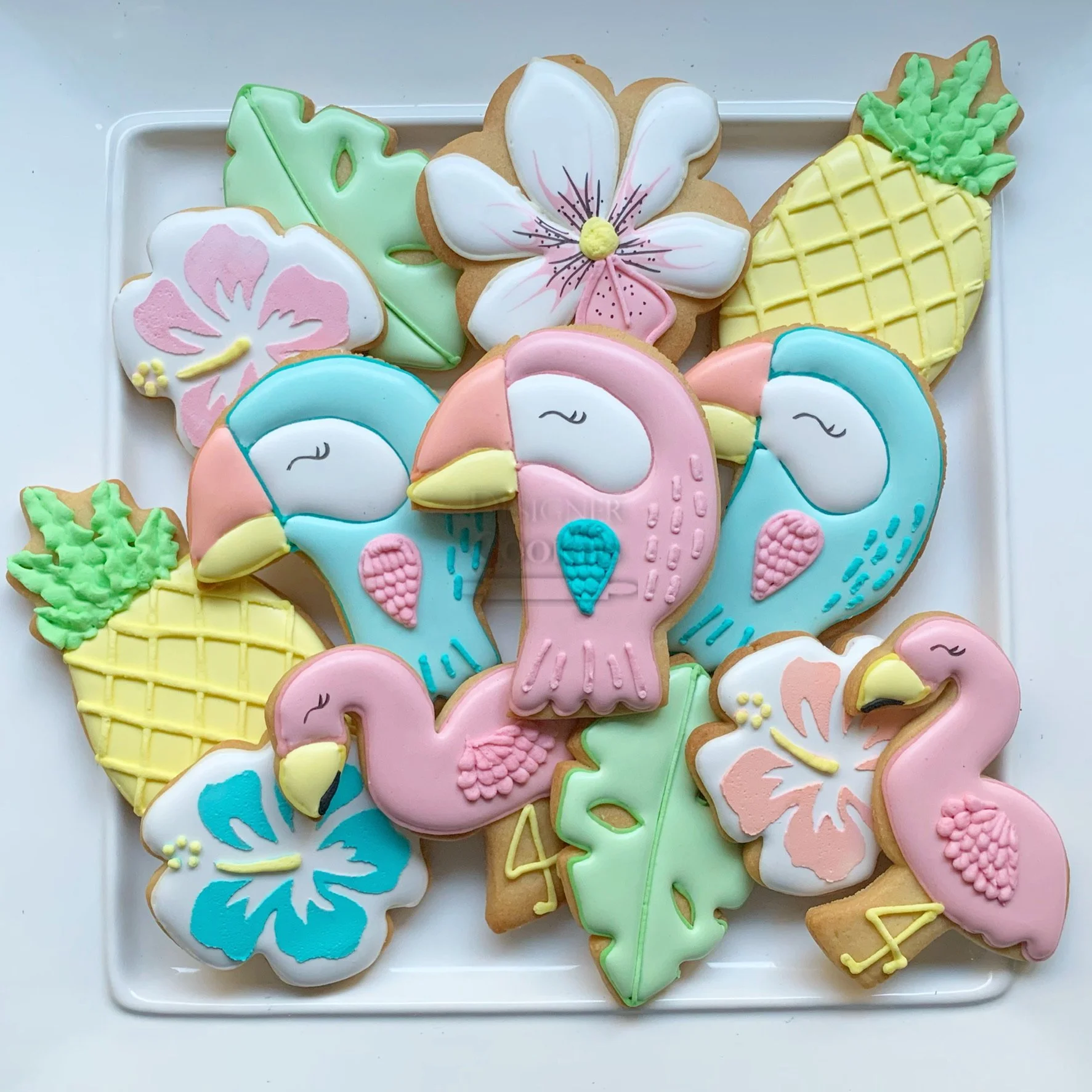 DesignerCookies