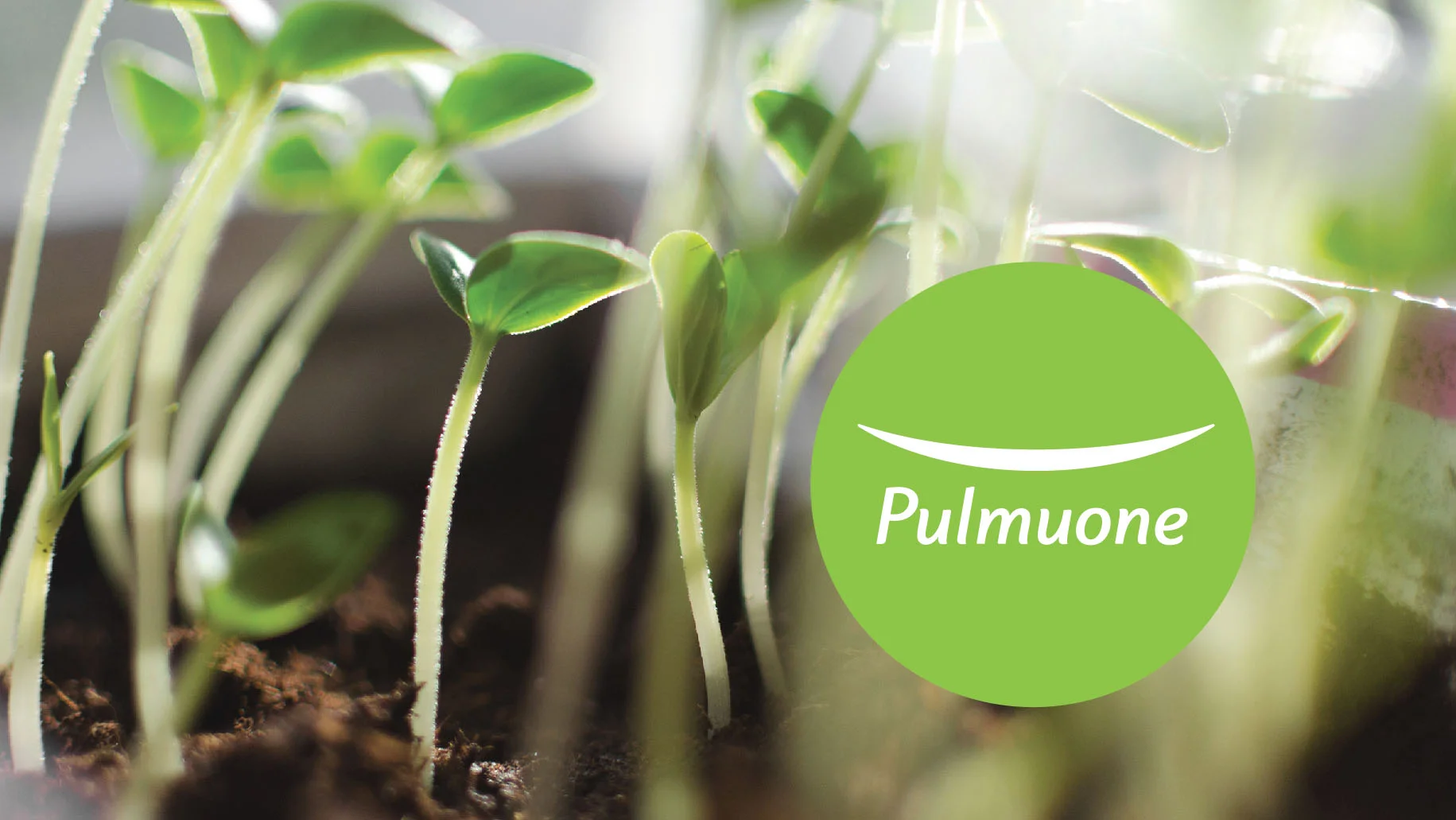 Pulmuone — Sodiumpartners