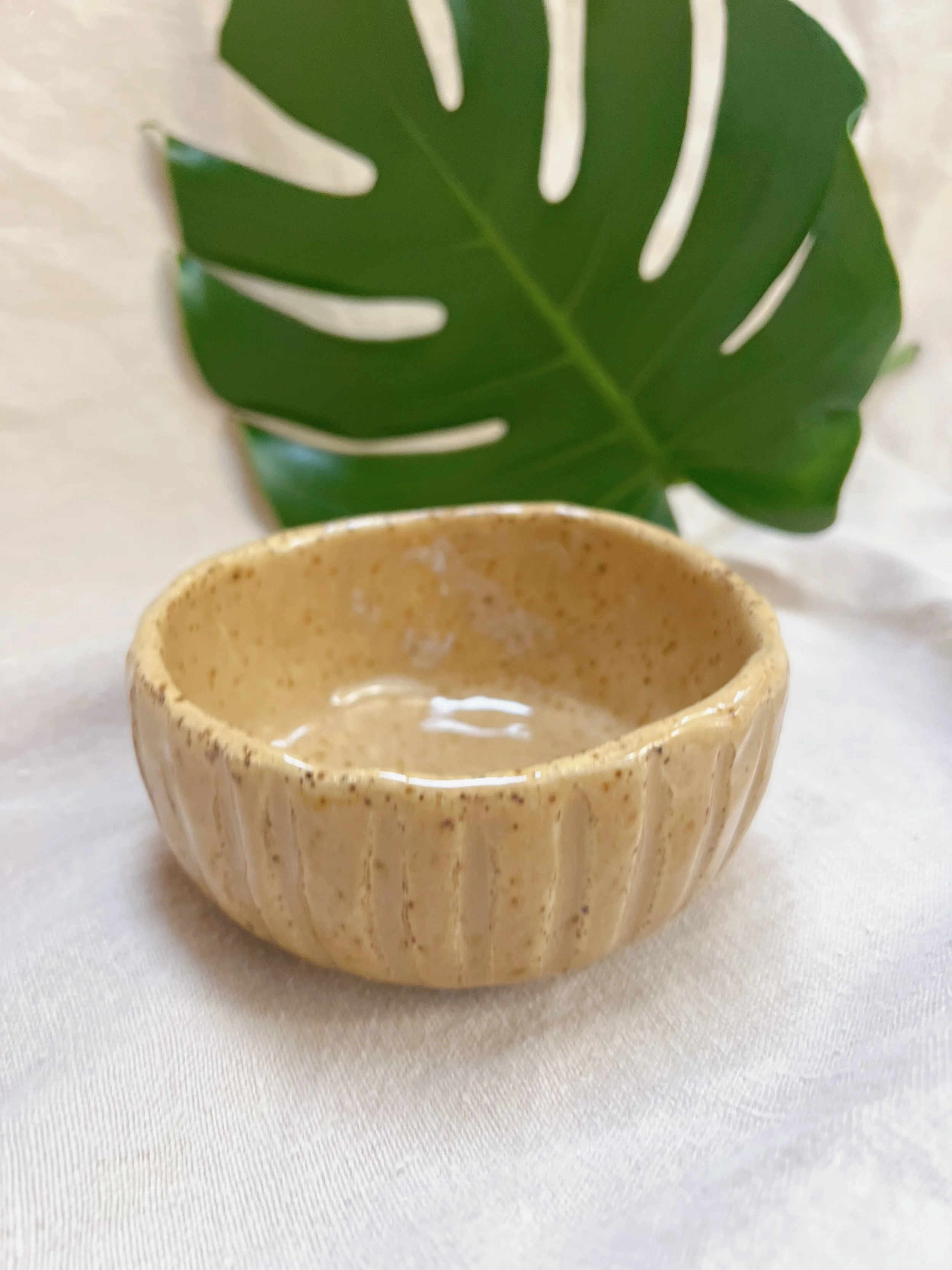 SHOP — Splendid Wren Ceramics