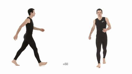 THE MOVING BODY - Walking Gait Analysis (Part II): Gait goals and functional anatomy — Animator ...
