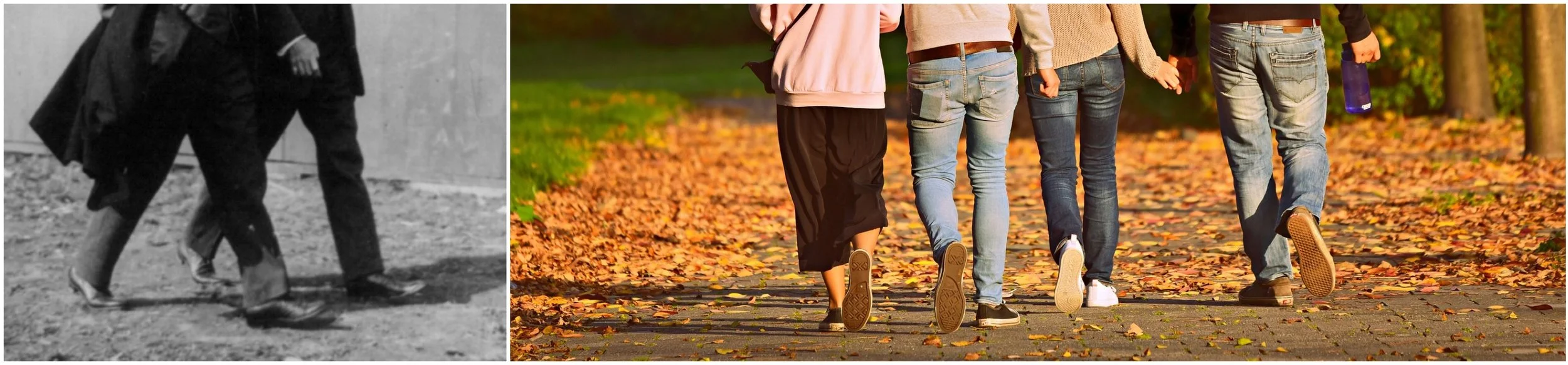 Synchronized Walking — Animator Notebook