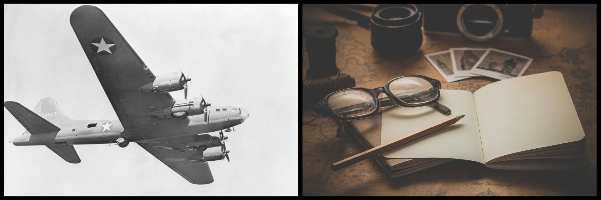 THE EVOLUTION OF THE EYE - How Anatomy Can Change Our Perception ...