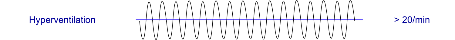 Action Analysis: Breathing — Animator Notebook