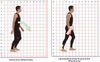 THE MOVING BODY - Walking Gait Analysis for Animation (Part I ...