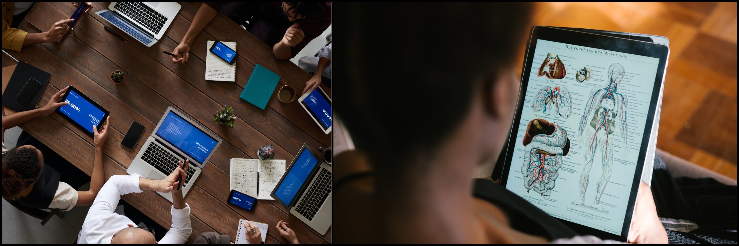 LEARNING ANIMATION - A Journey on the Path to Mastery — Animator Notebook