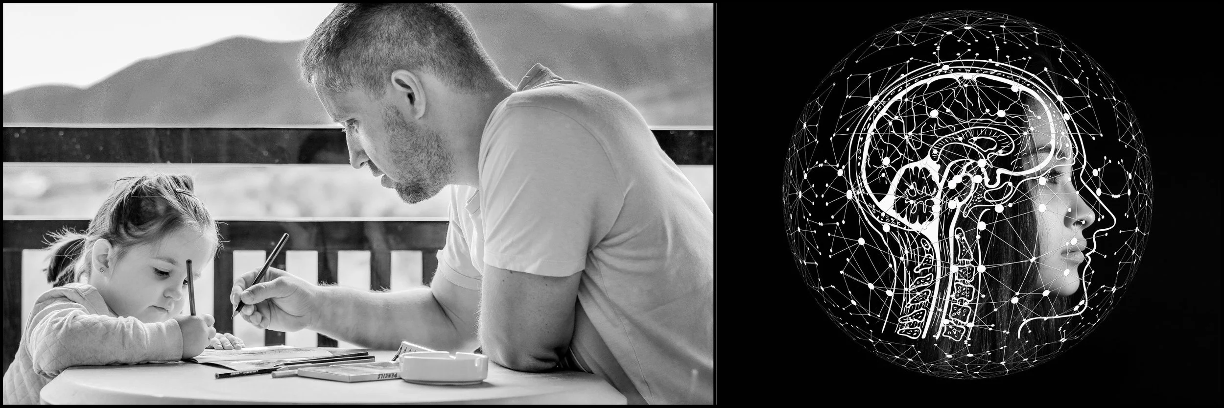 LEARNING ANIMATION - A Journey on the Path to Mastery — Animator Notebook