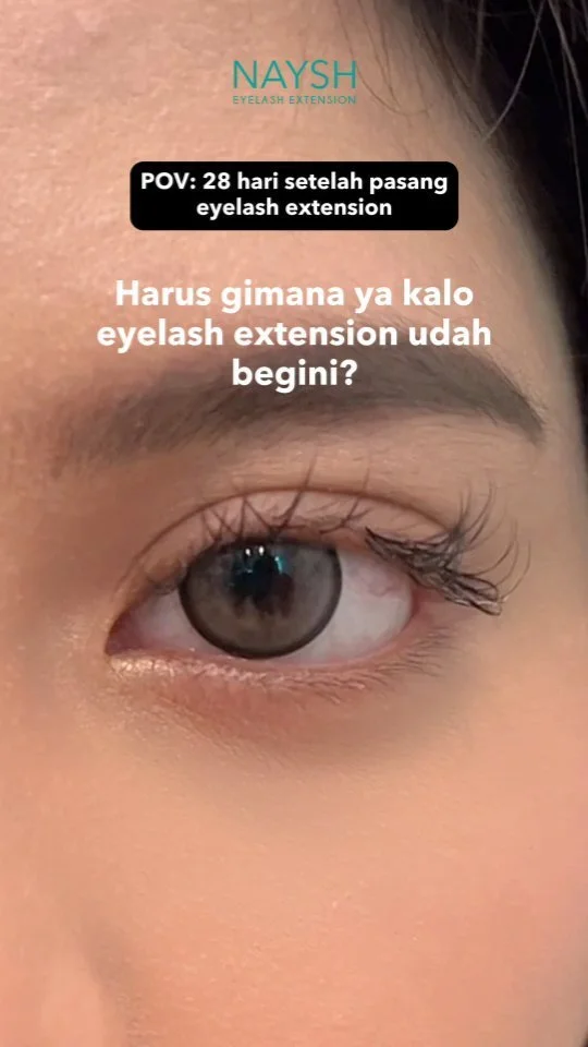 Nash Eyelash Extension