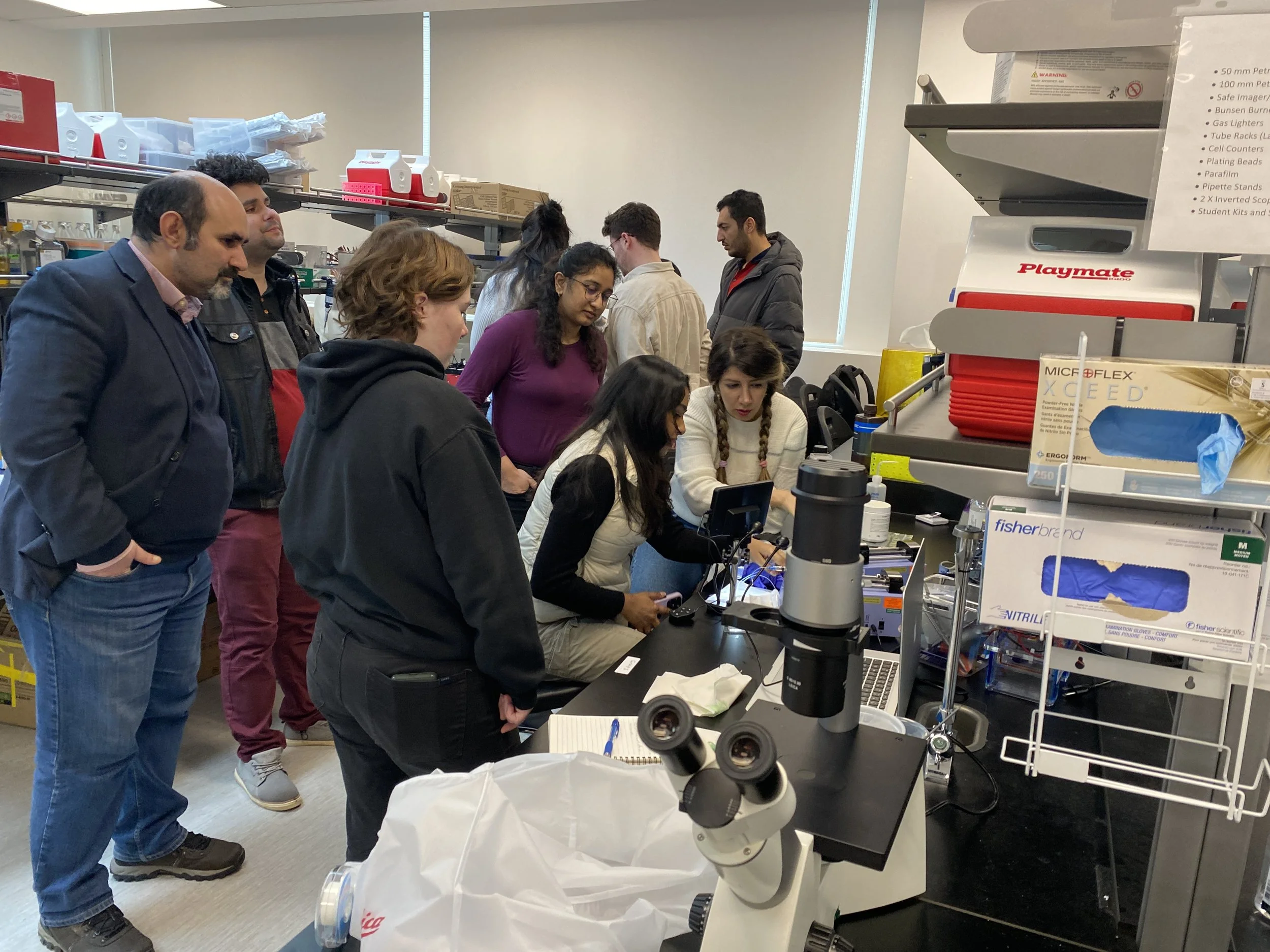 Griffith Regenerative Medicine Lab - Griffith Lab at the SCN Bioengineering Workshop 2024