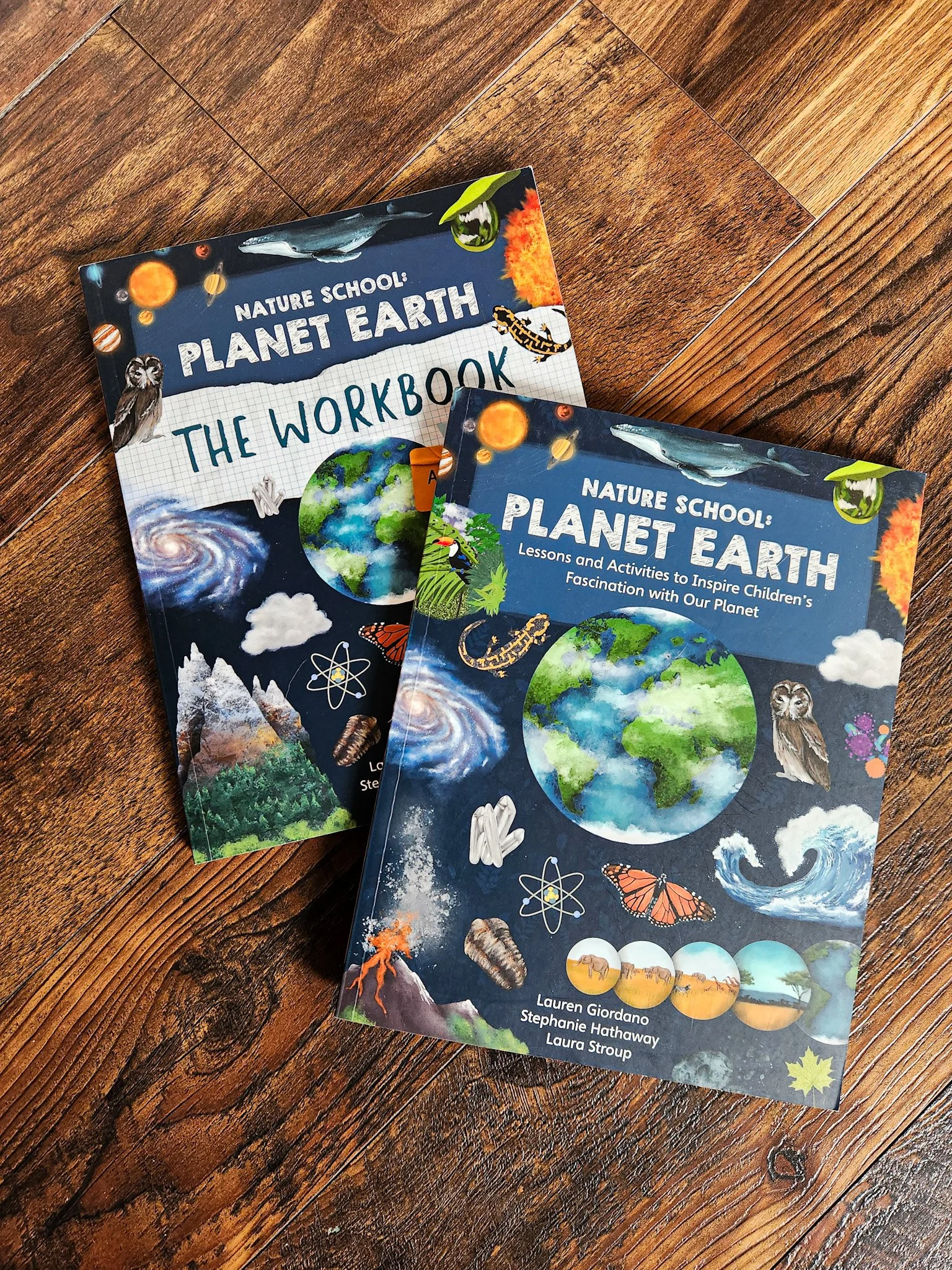 Planet Earth: Lessons and Activities to Inspire Children's Fascination ...