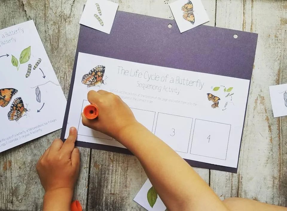 Minibeast Nature Study Vol. 1 — Stephanie Hathaway Designs