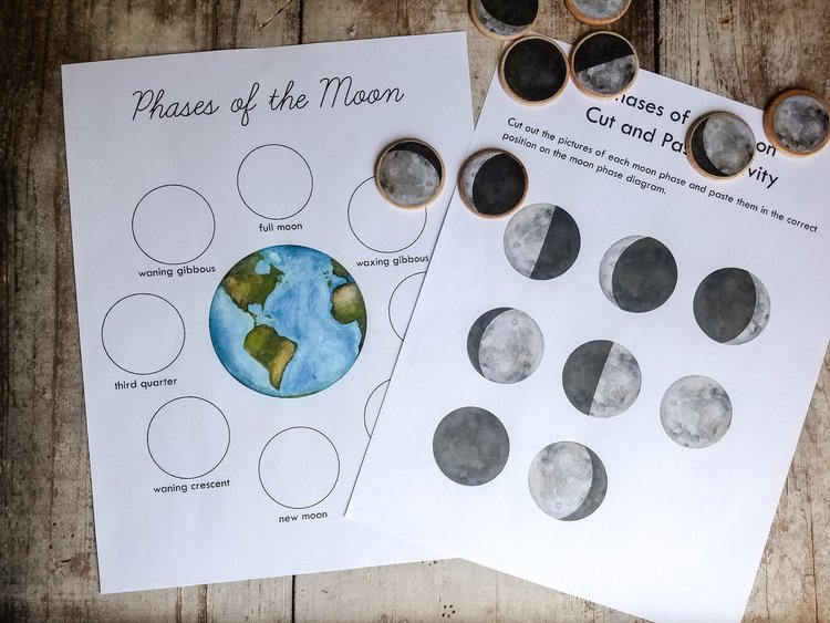 Phases Of The Moon Cut And Paste Worksheet