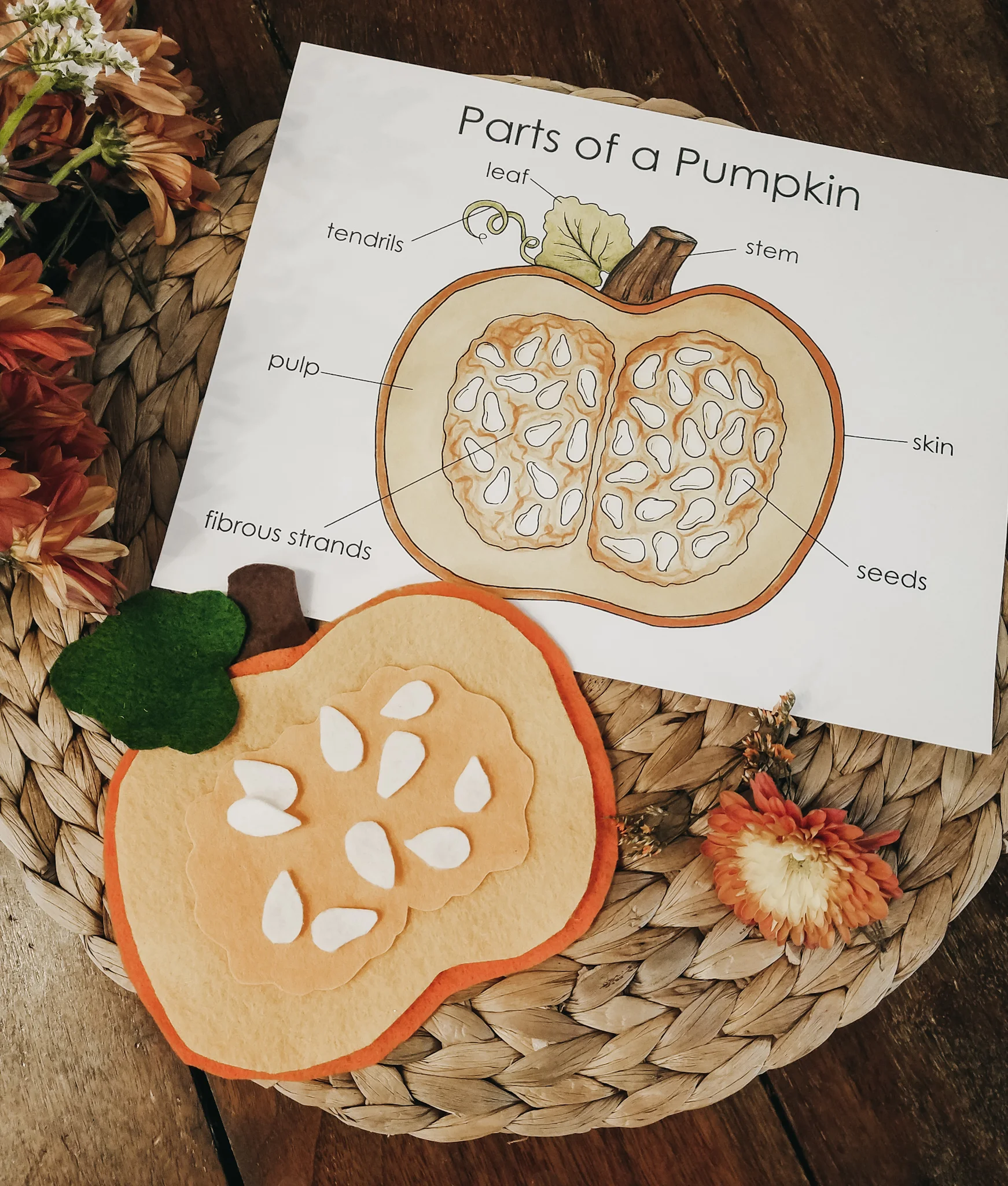 Pumpkin Invitation — Stephanie Hathaway Designs