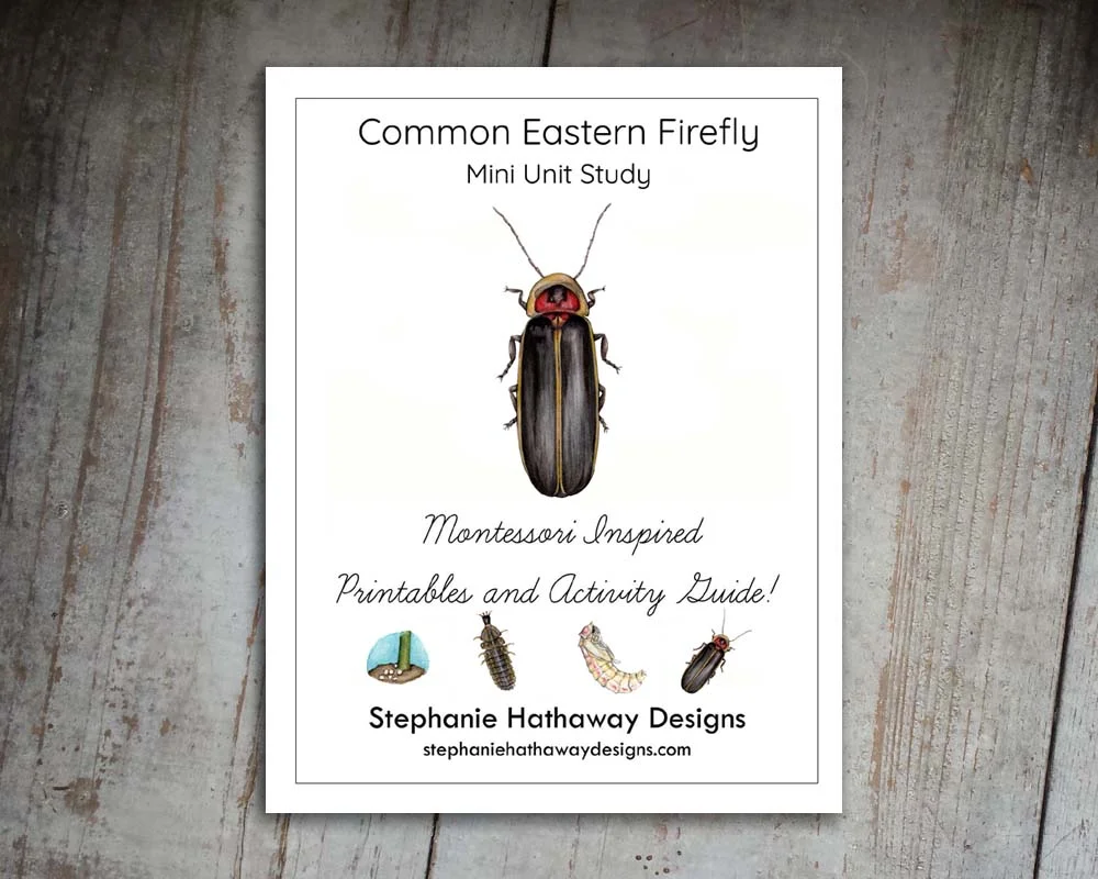 Minibeast Nature Study Vol. 1 — Stephanie Hathaway Designs