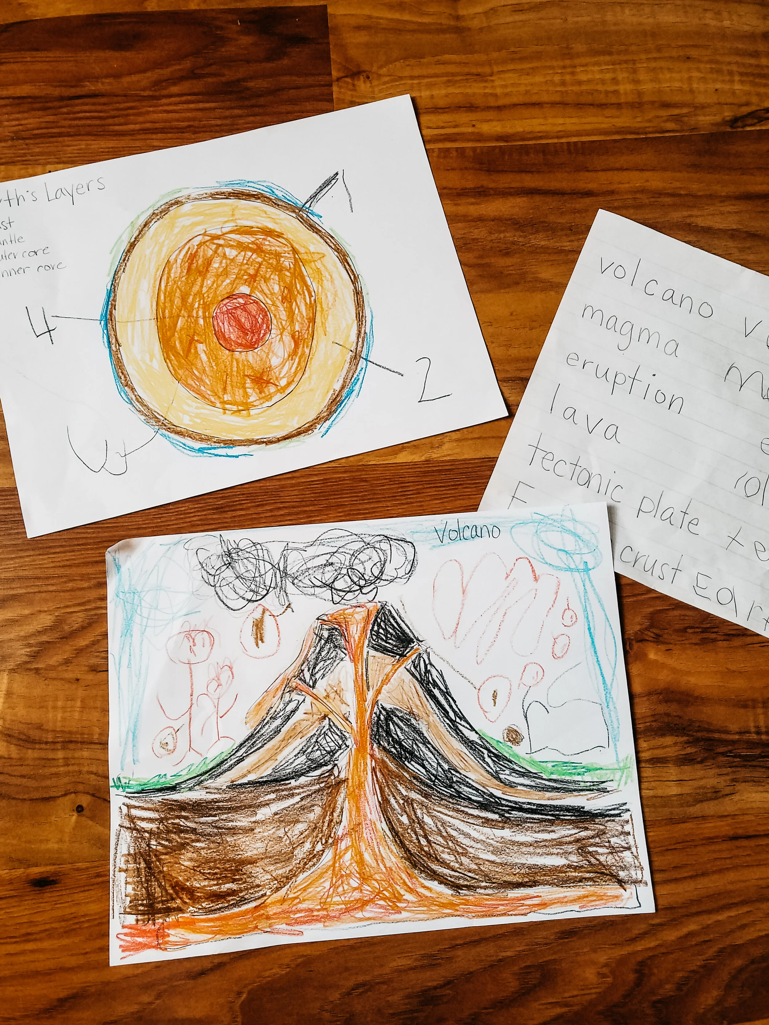 Free Volcano Unit Study — Stephanie Hathaway Designs