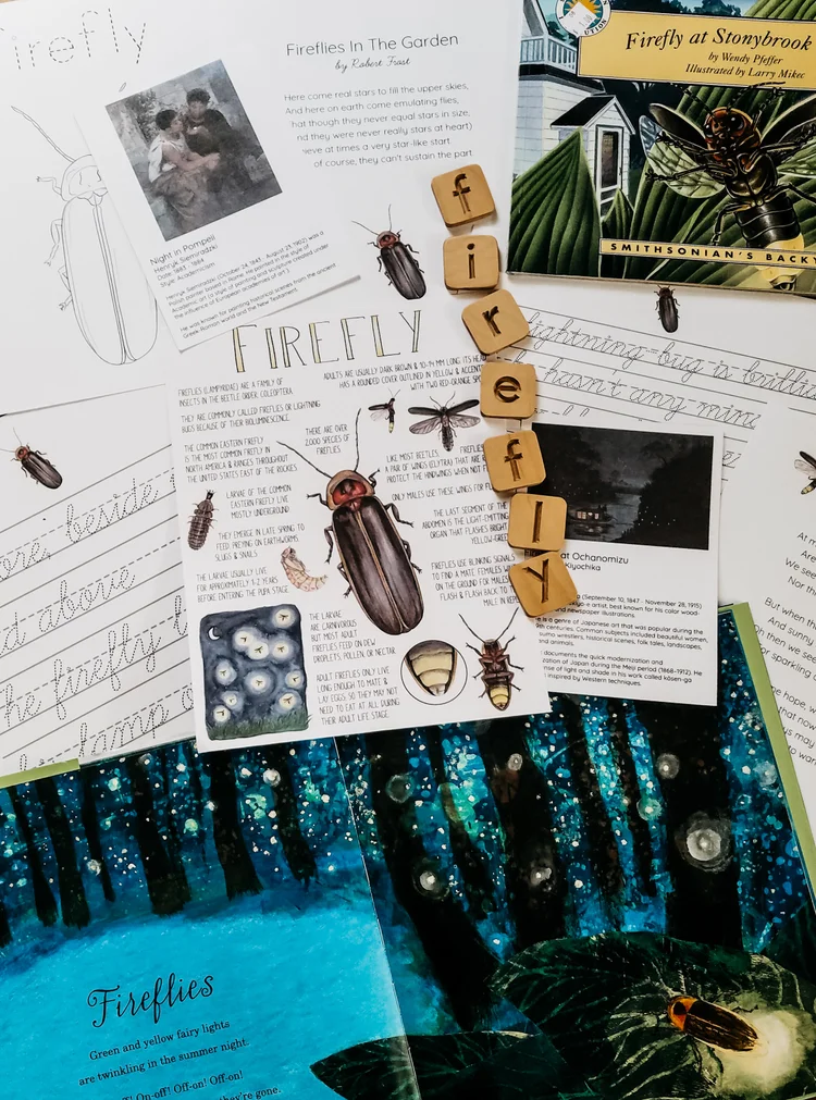 Minibeast Nature Study Vol. 1 — Stephanie Hathaway Designs