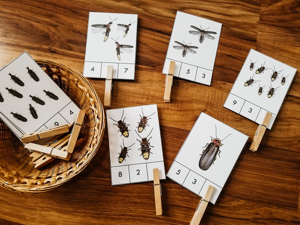 Minibeast Nature Study Vol. 1 — Stephanie Hathaway Designs