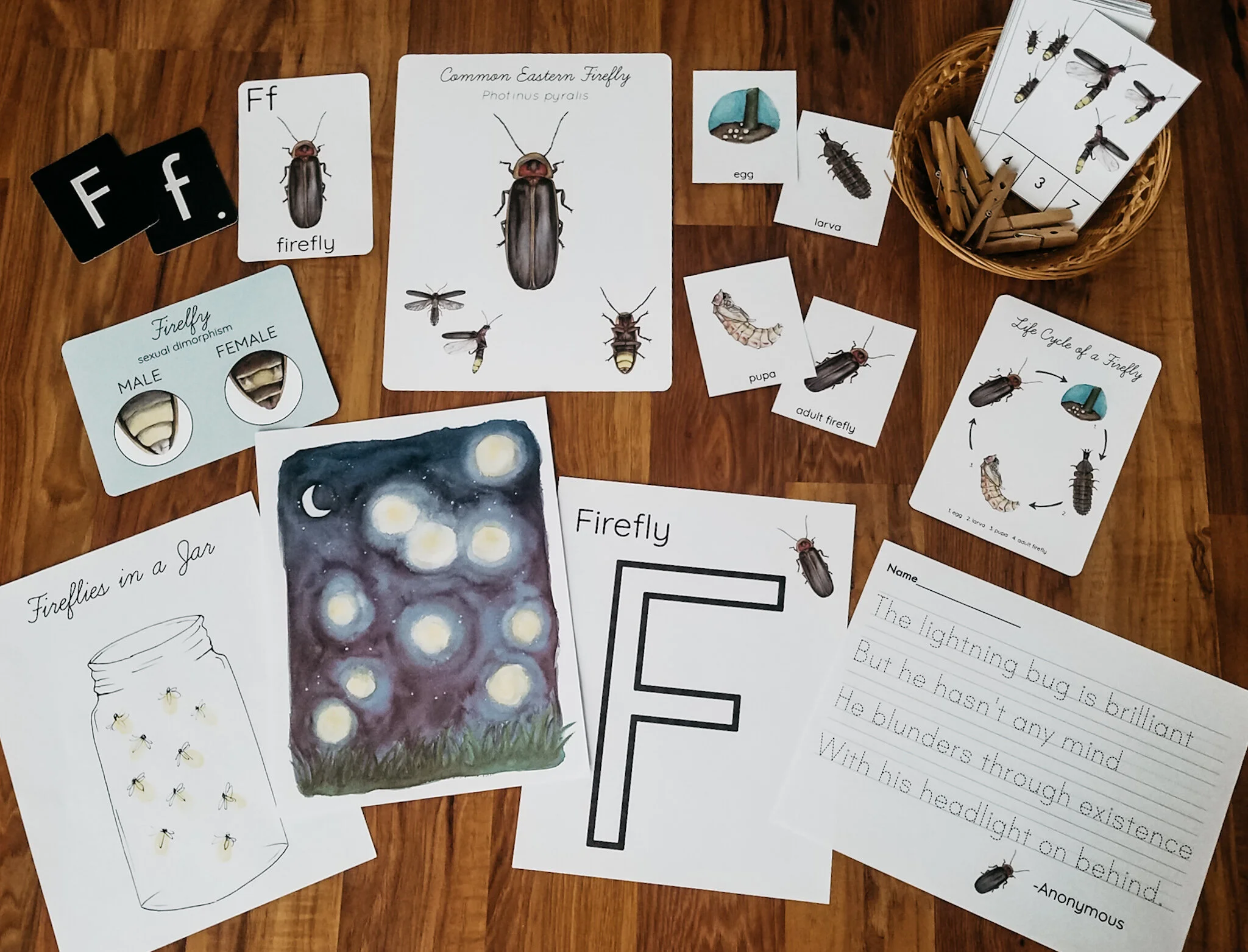 Minibeast Nature Study Vol. 1 — Stephanie Hathaway Designs
