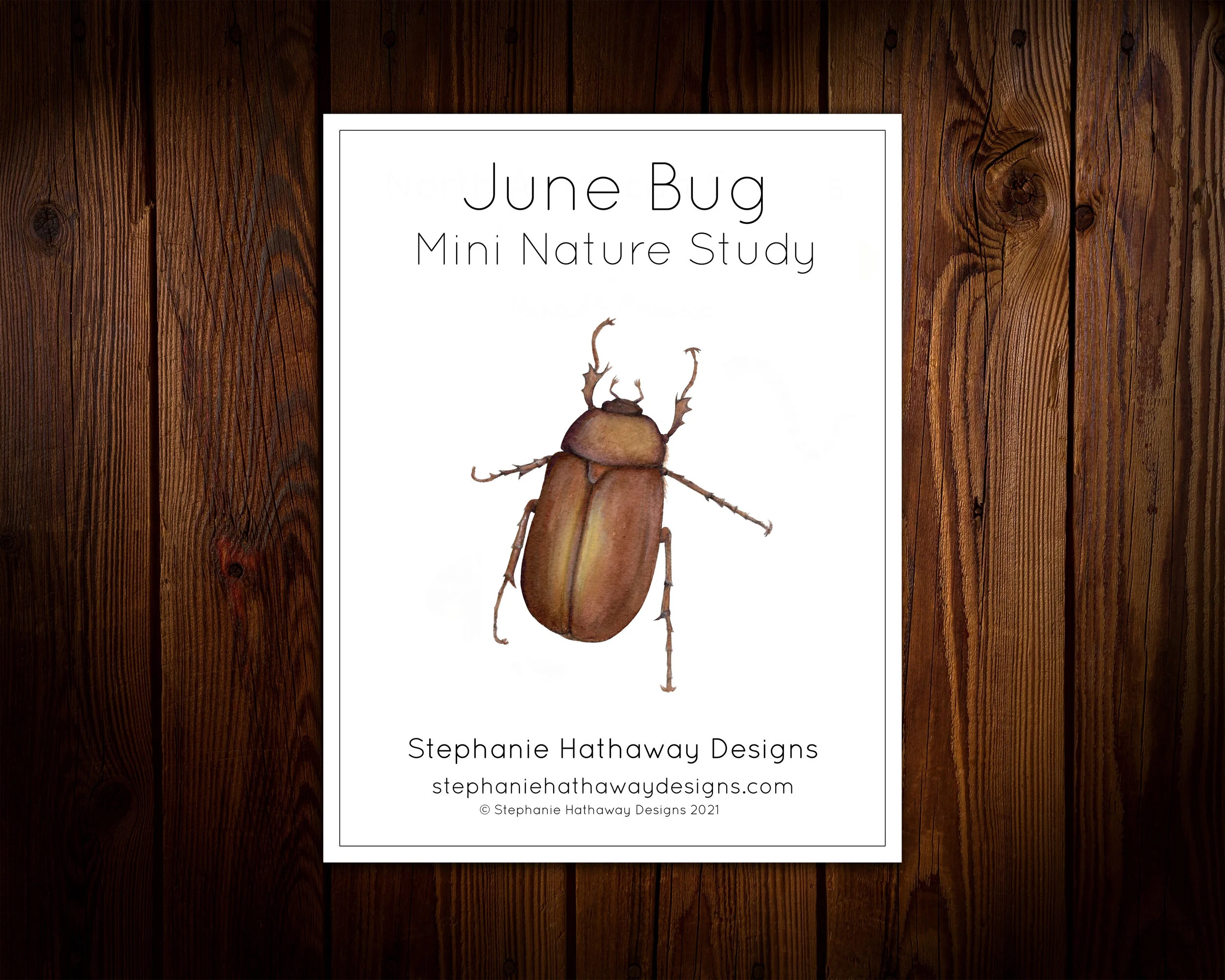 Earthworms Nature Study — Stephanie Hathaway Designs