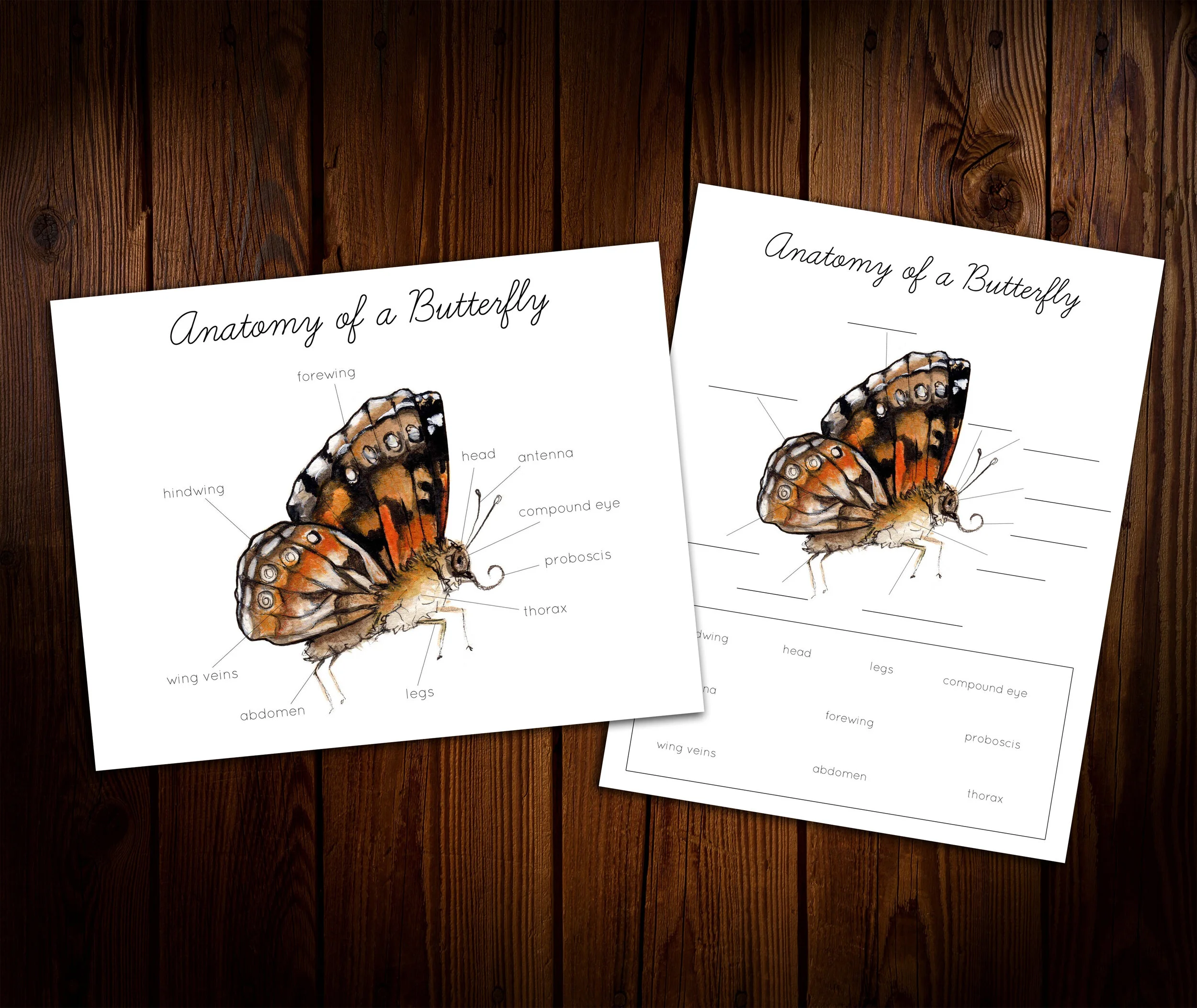 Freebies — Stephanie Hathaway Designs