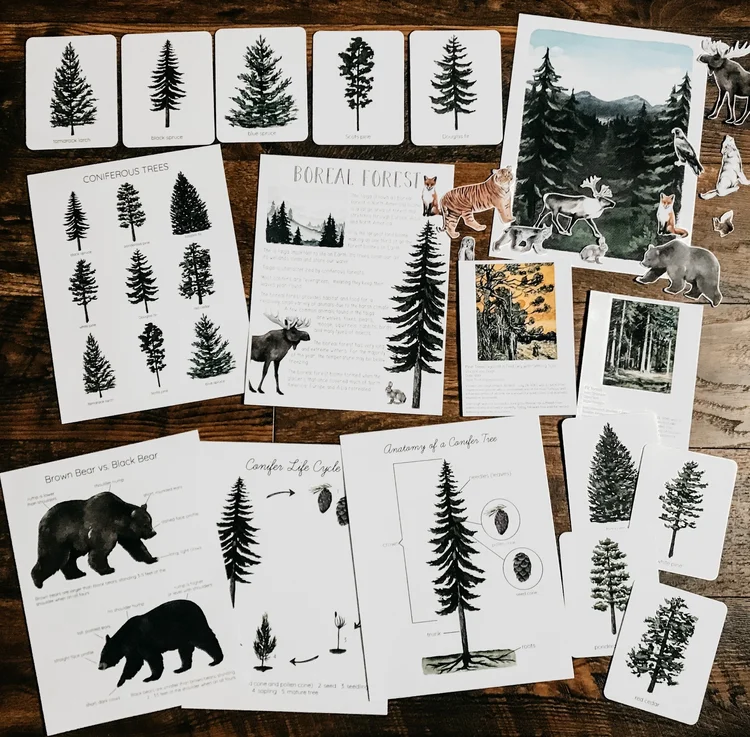 Prairie Unit Study — Stephanie Hathaway Designs