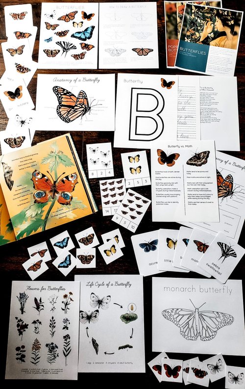 Minibeast Nature Study Vol. 1 — Stephanie Hathaway Designs