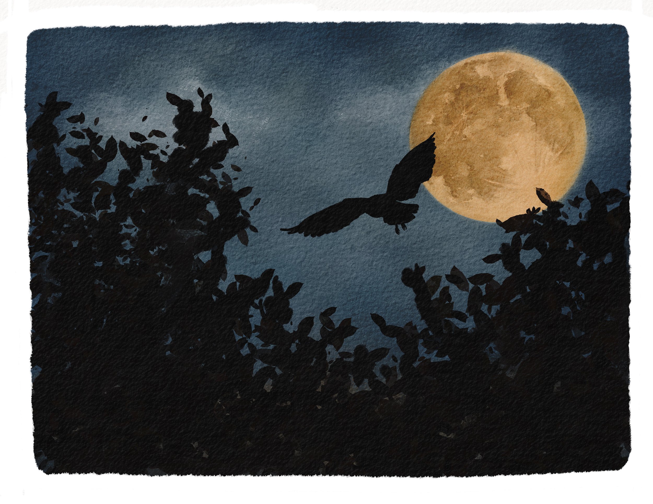Snow Moon Mini Nature Study — Stephanie Hathaway Designs