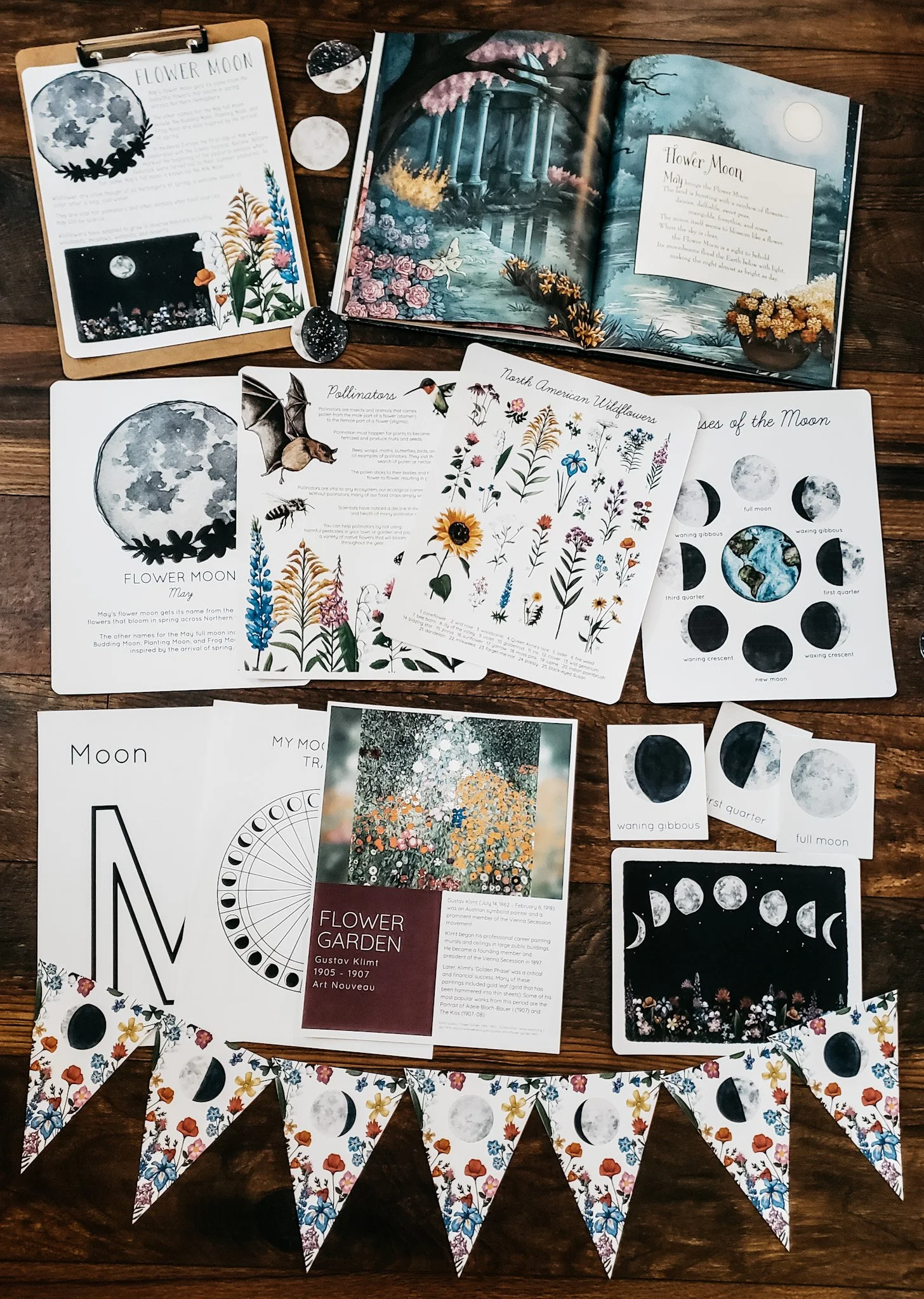 Spring Nature Study Collection — Stephanie Hathaway Designs