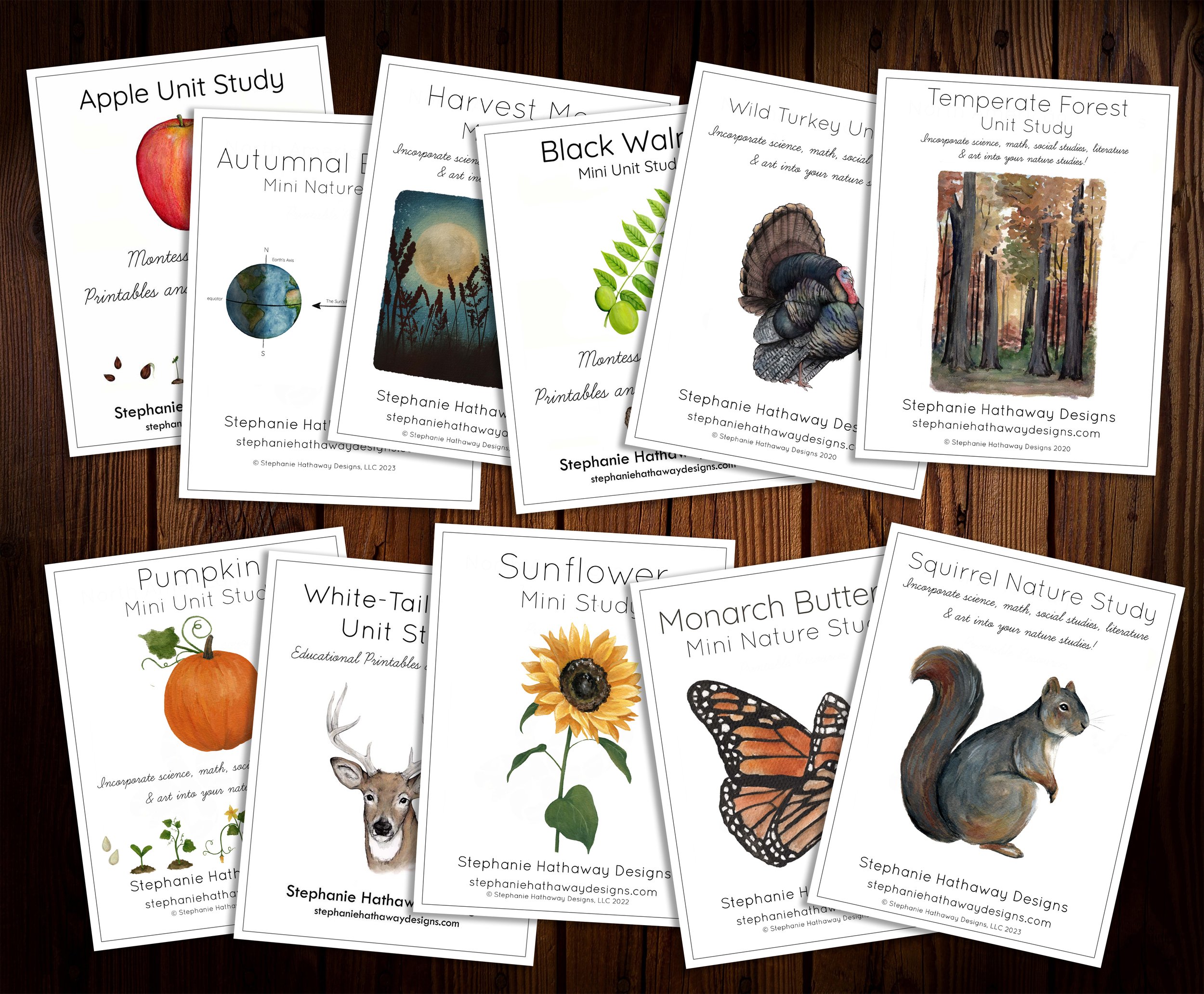 Ocean Nature Study Bundle — Stephanie Hathaway Designs
