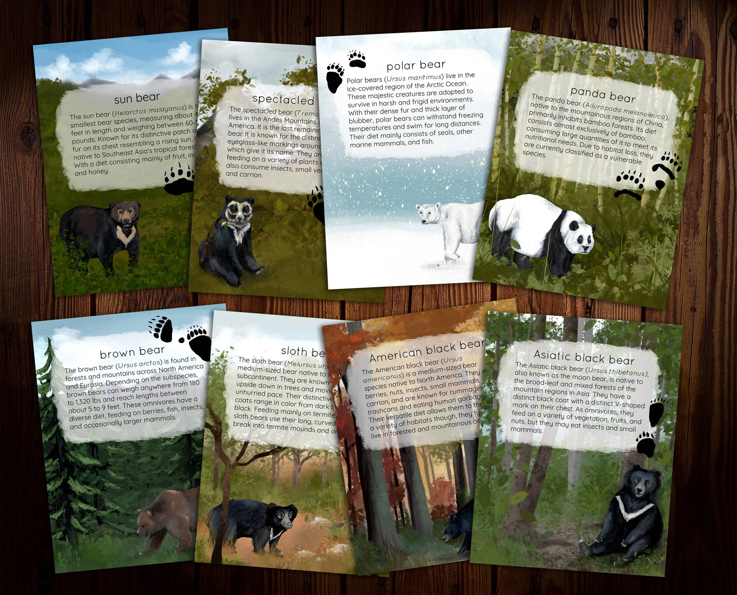 Feline Unit Study — Stephanie Hathaway Designs