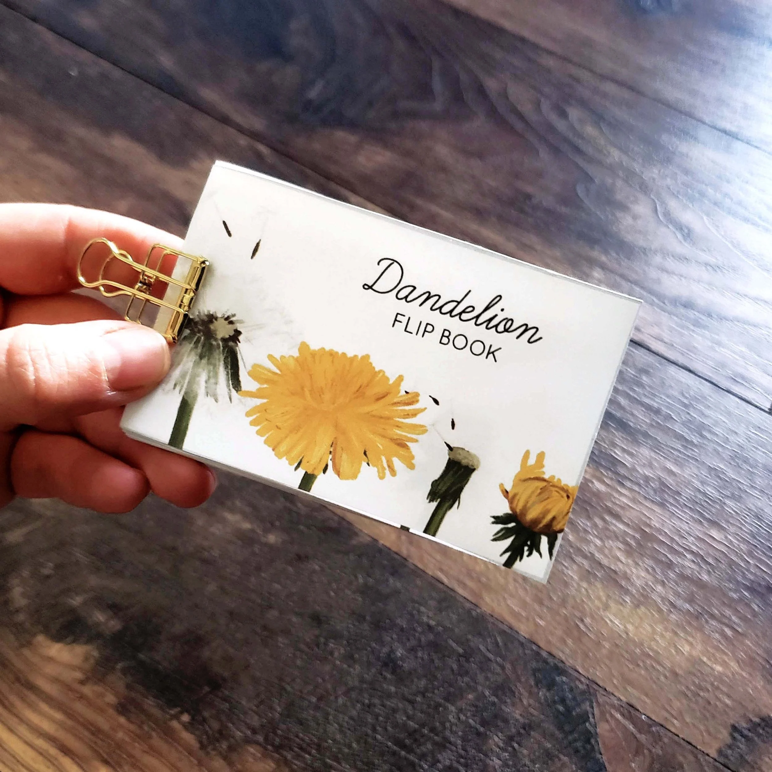 Member Exclusives — Stephanie Hathaway Designs