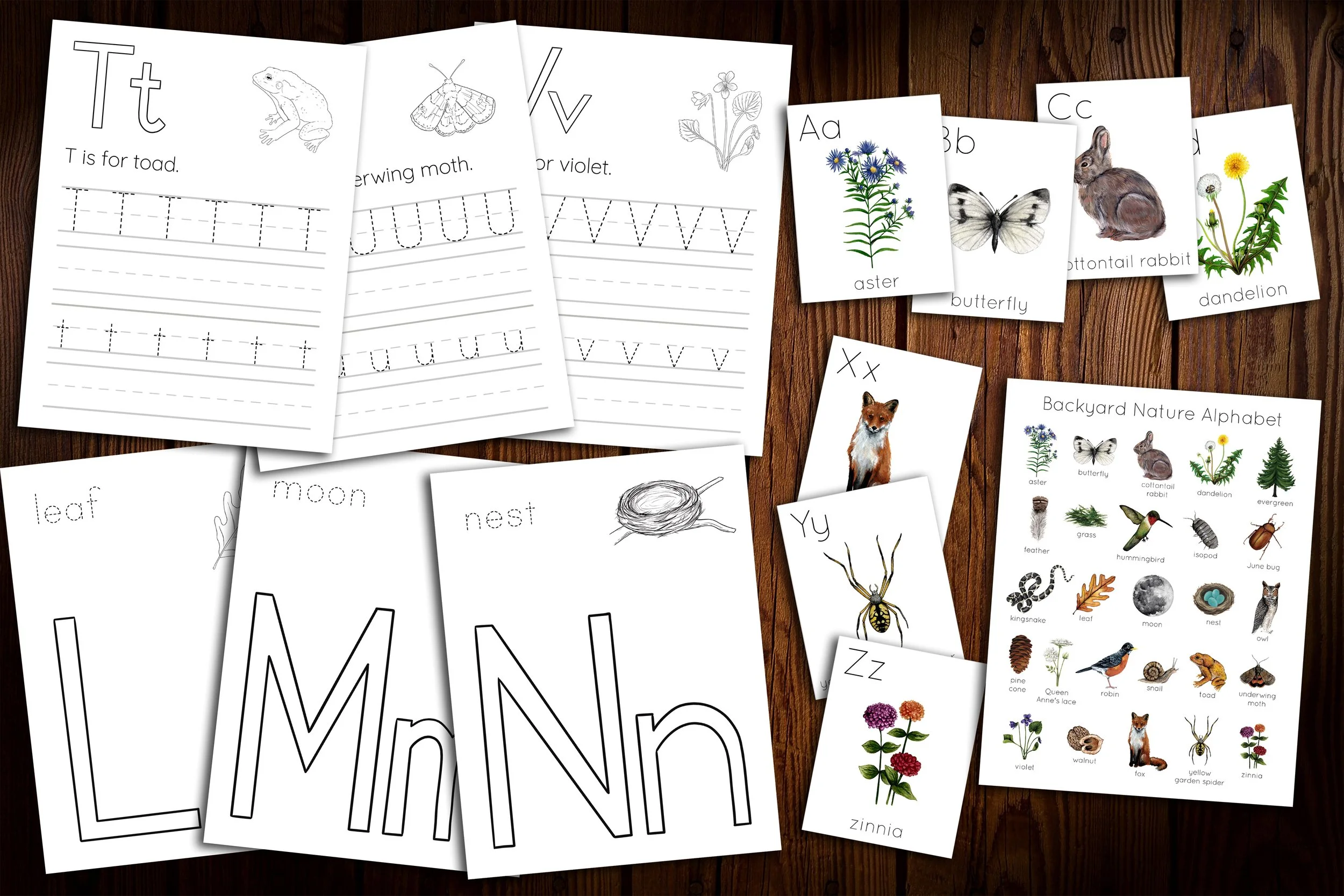 Weather Early Learning Bundle — Stephanie Hathaway Designs