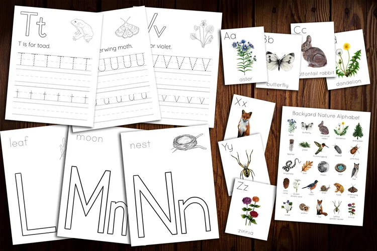 Weather Early Learning Bundle — Stephanie Hathaway Designs